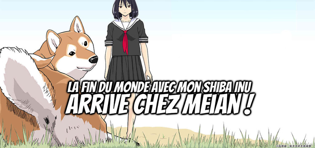 La fin du monde avec mon Shiba Inu arrive chez Meian ! - Gaak